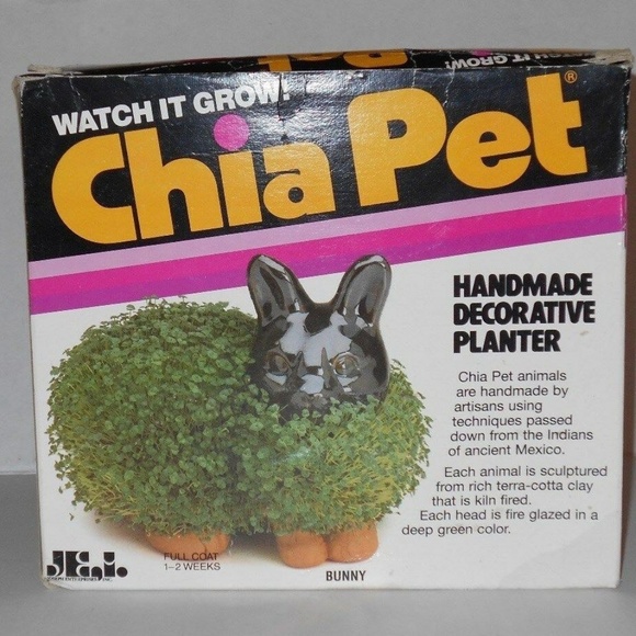 Joseph Enterprises, Inc | Accents | Vintage Chia Pet Animal Rabbit ...